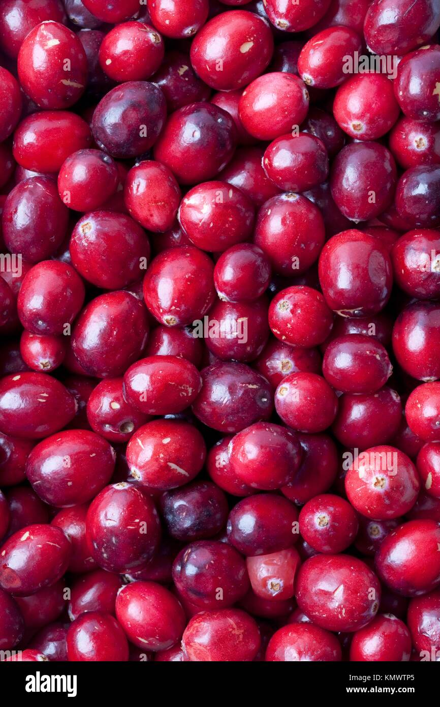 Cranberries full frame Stock Photo - Alamy