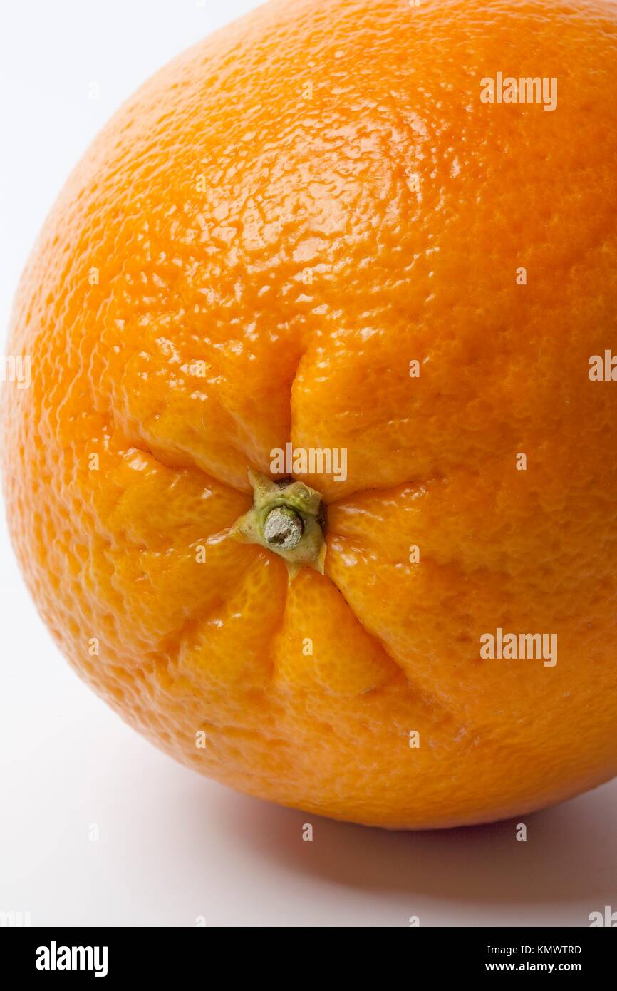 One whole single Orange Stock Photo - Alamy