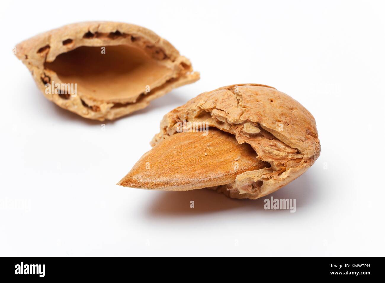Almond in shell hi-res stock photography and images - Alamy
