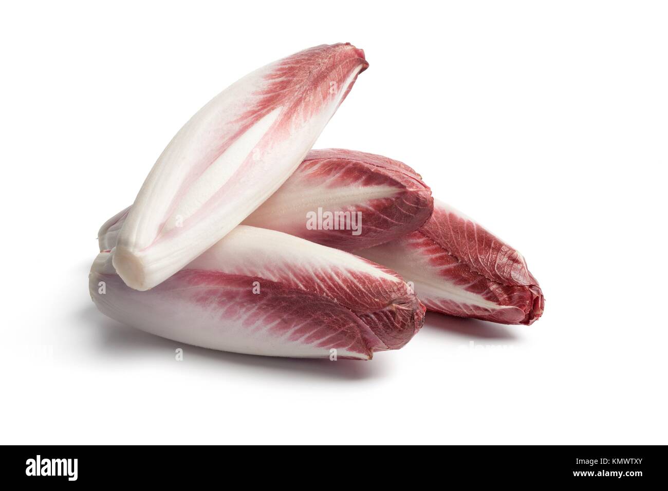 Red chicory hi-res stock photography and images - Alamy