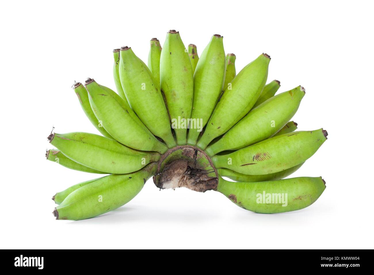 Baby green bananas hi-res stock photography and images - Alamy