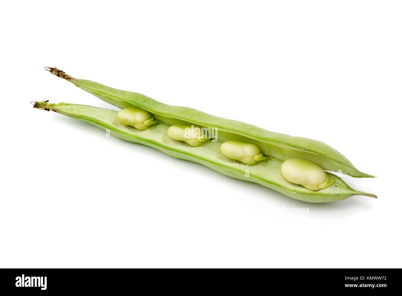 Broad bean pod hi-res stock photography and images - Alamy