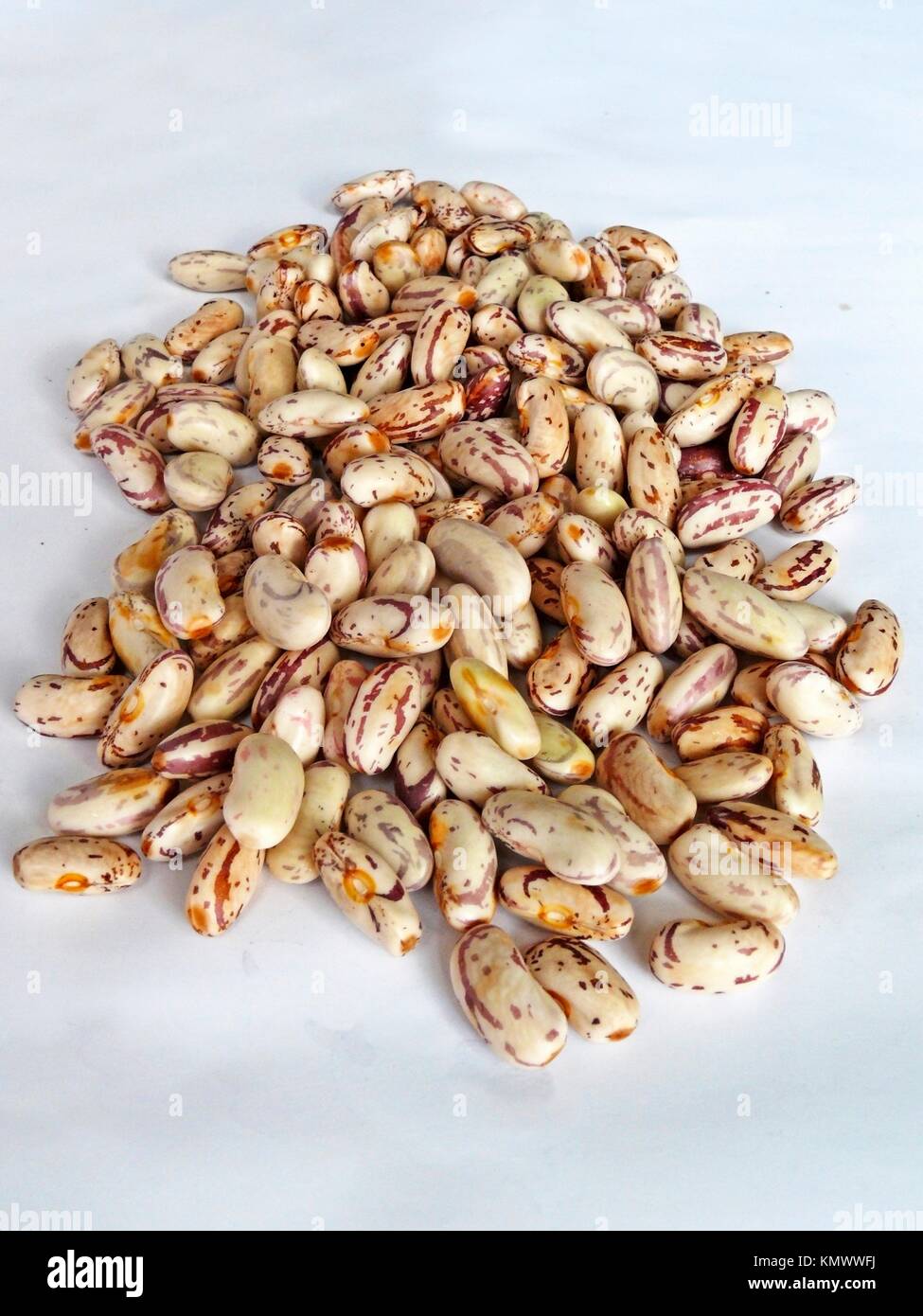 Fava Bean, broad beans Stock Photo - Alamy