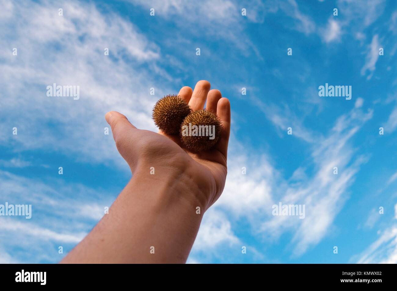 Hand in the sky Concept of hope and solutions Stock Photo - Alamy