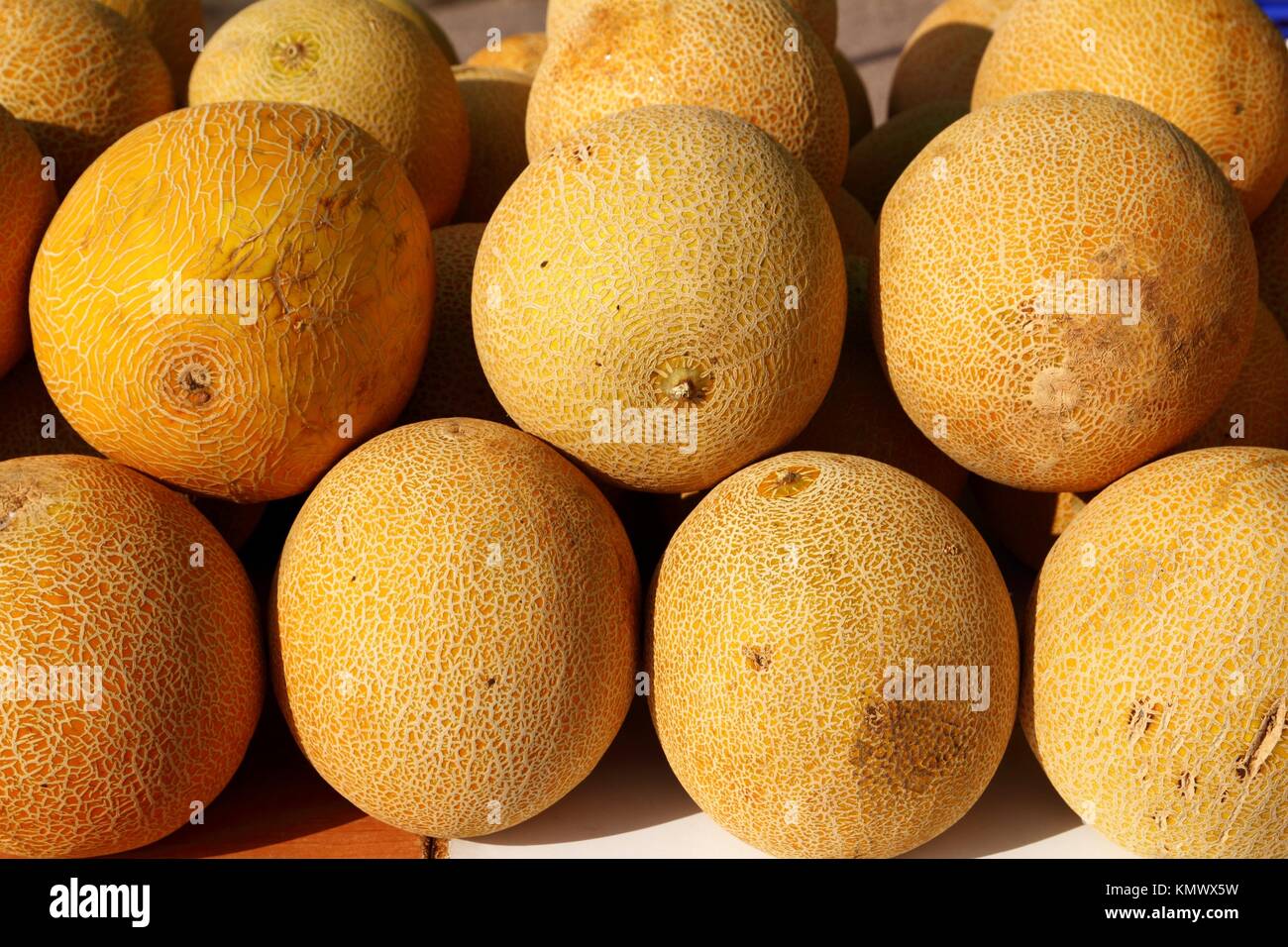 Cucumis reticulatus hi-res stock photography and images - Alamy