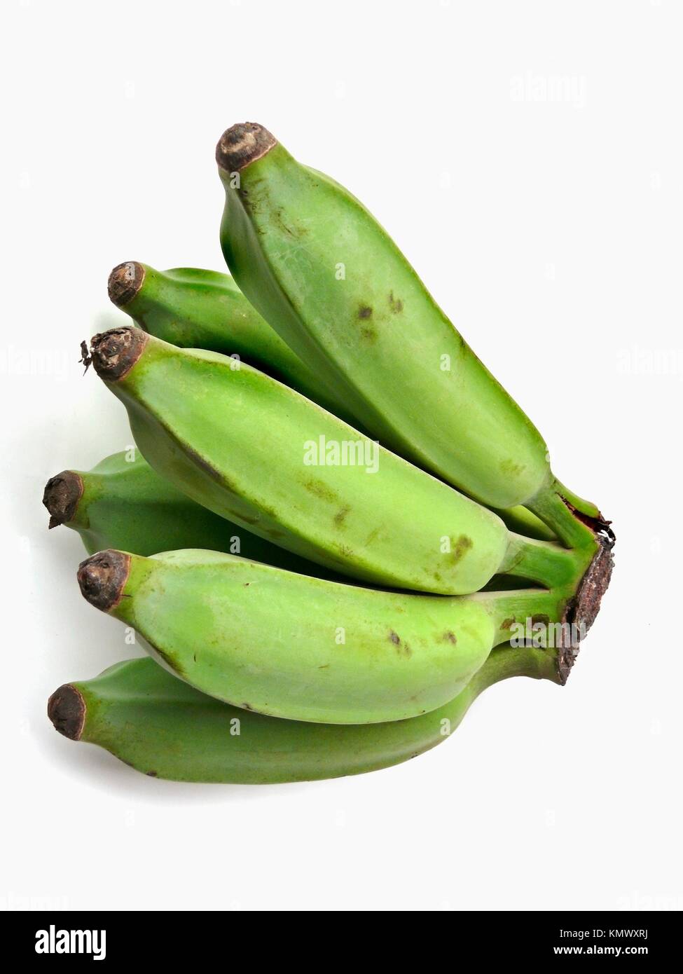 Musaceae hi-res stock photography and images - Alamy