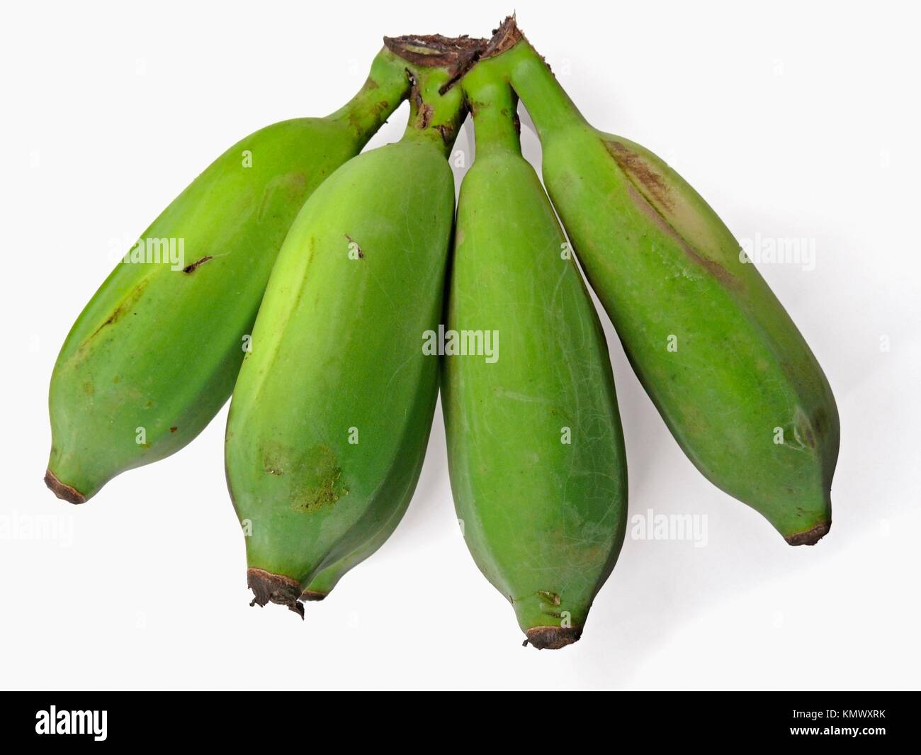 Banana musaceae hi-res stock photography and images - Alamy