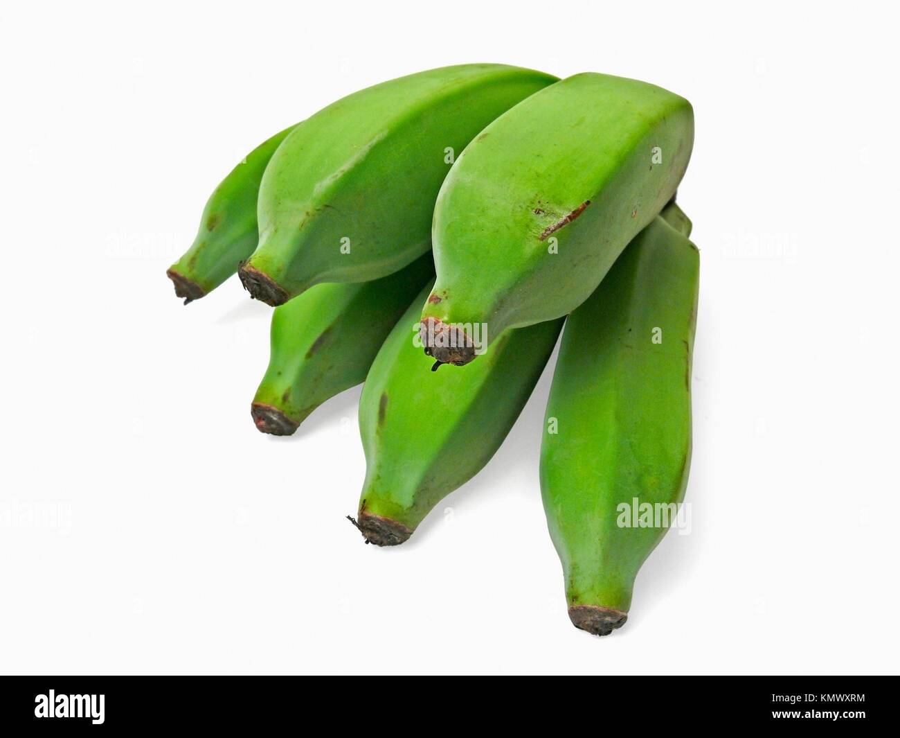 Musaceae hi-res stock photography and images - Alamy