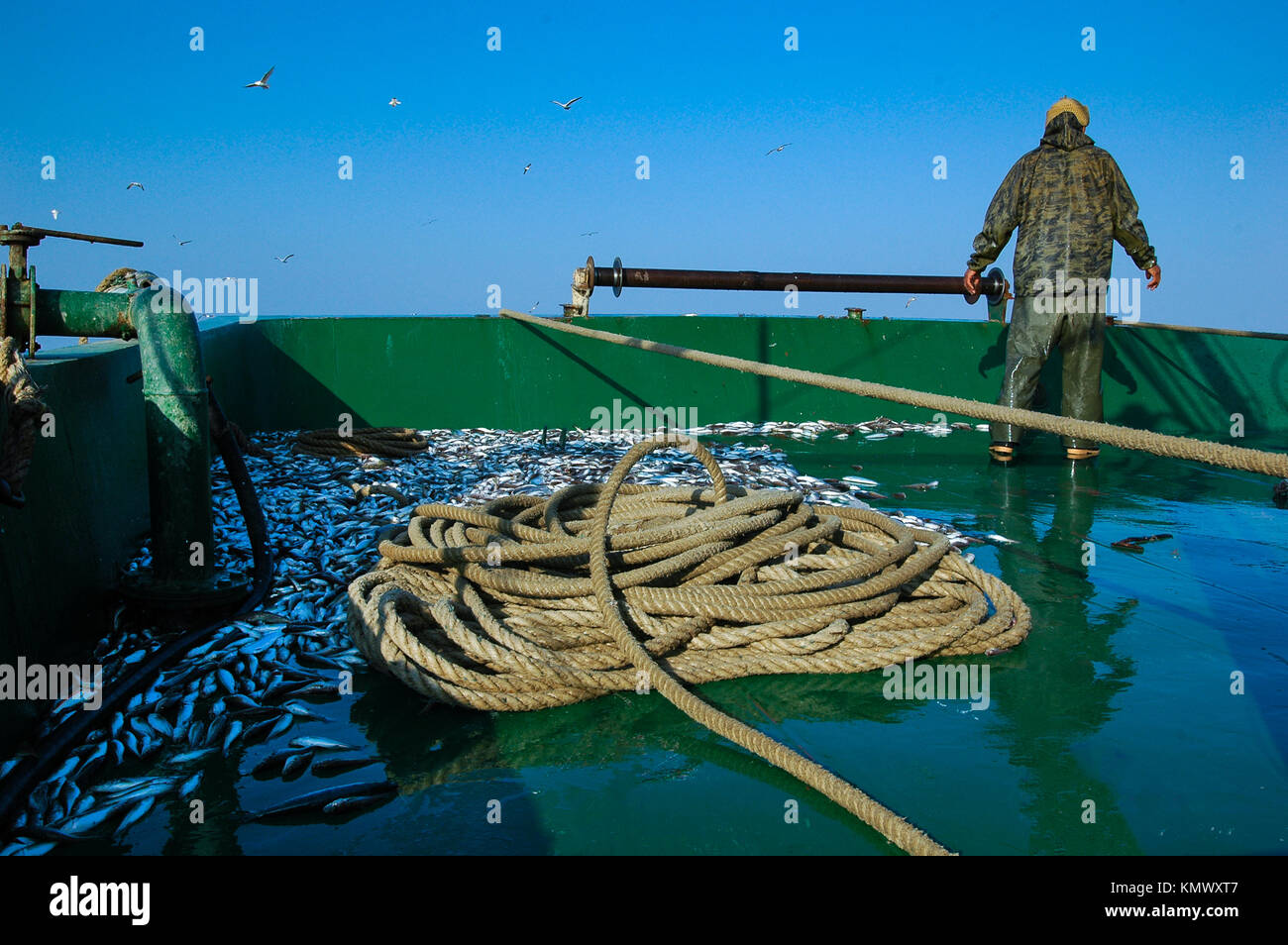 professional industrial fishing Stock Photo - Alamy