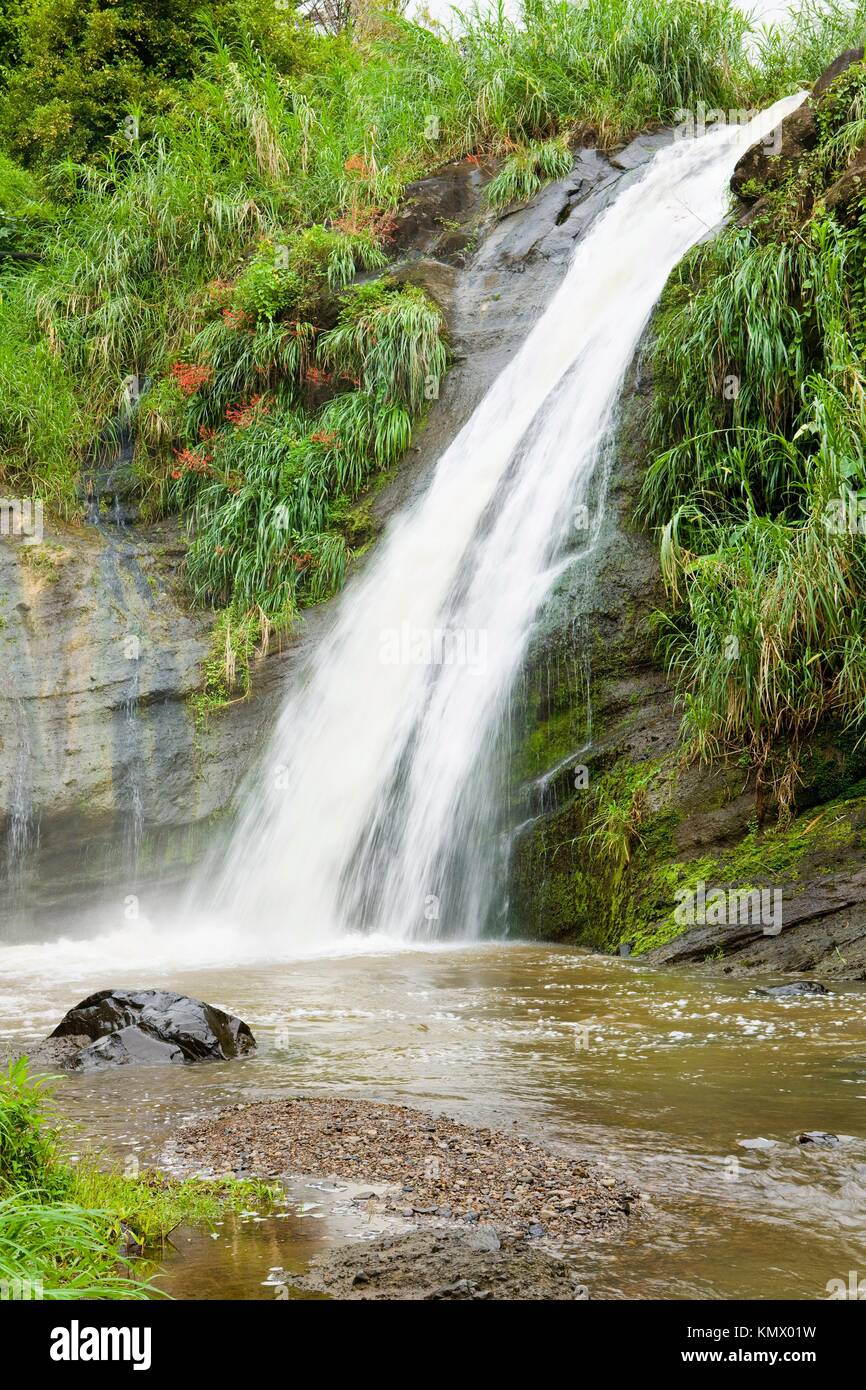 Concord waterfall grenada hi-res stock photography and images - Alamy