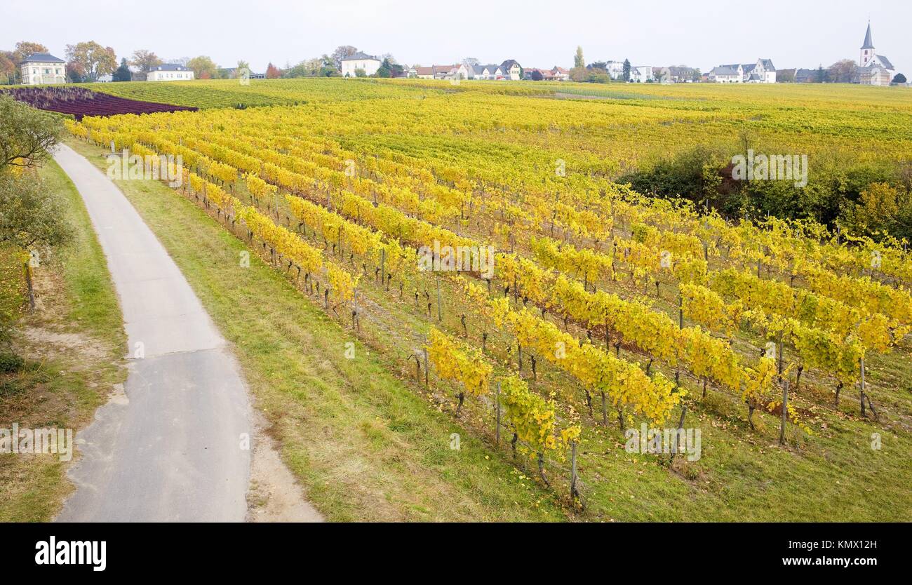 Hochheim hi-res stock photography and images - Alamy