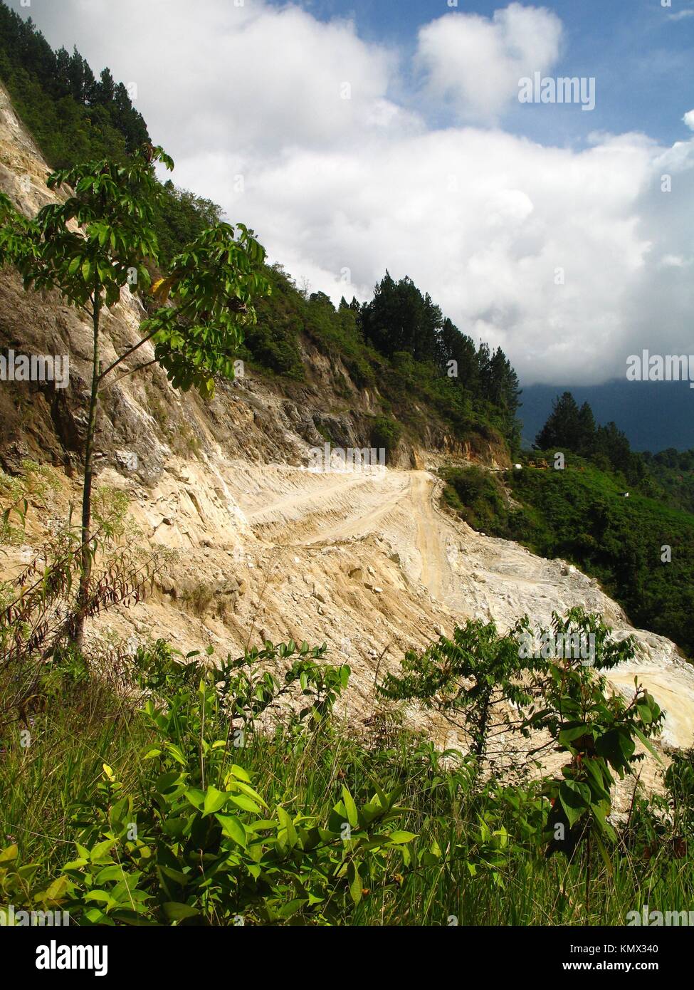 Deforestation, Barinas, Santo Domingo Road, Venezuela Stock Photo - Alamy