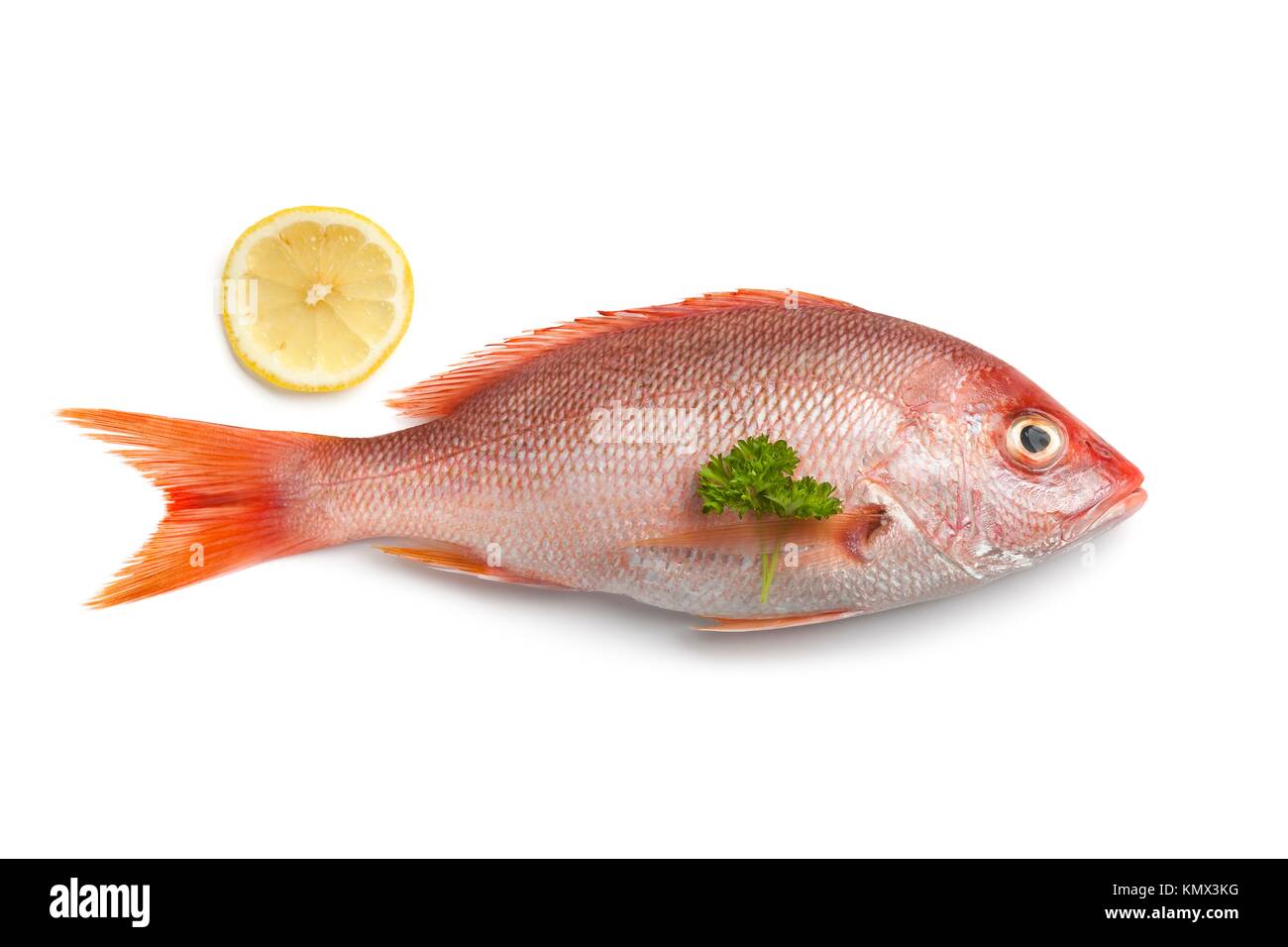 Fresh whole red snapper hi-res stock photography and images - Alamy