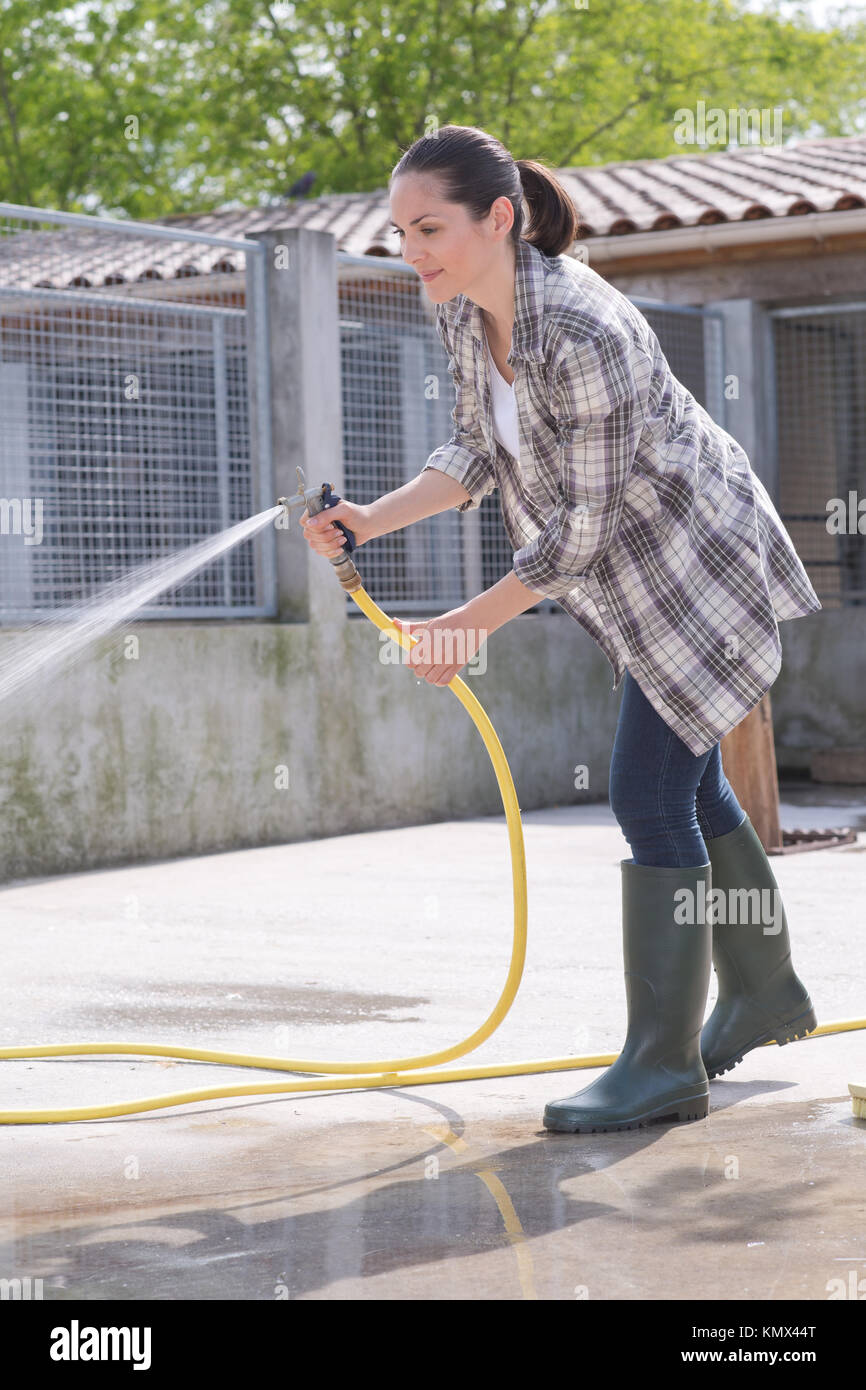 cleaning time for kennel assistant Stock Photo - Alamy