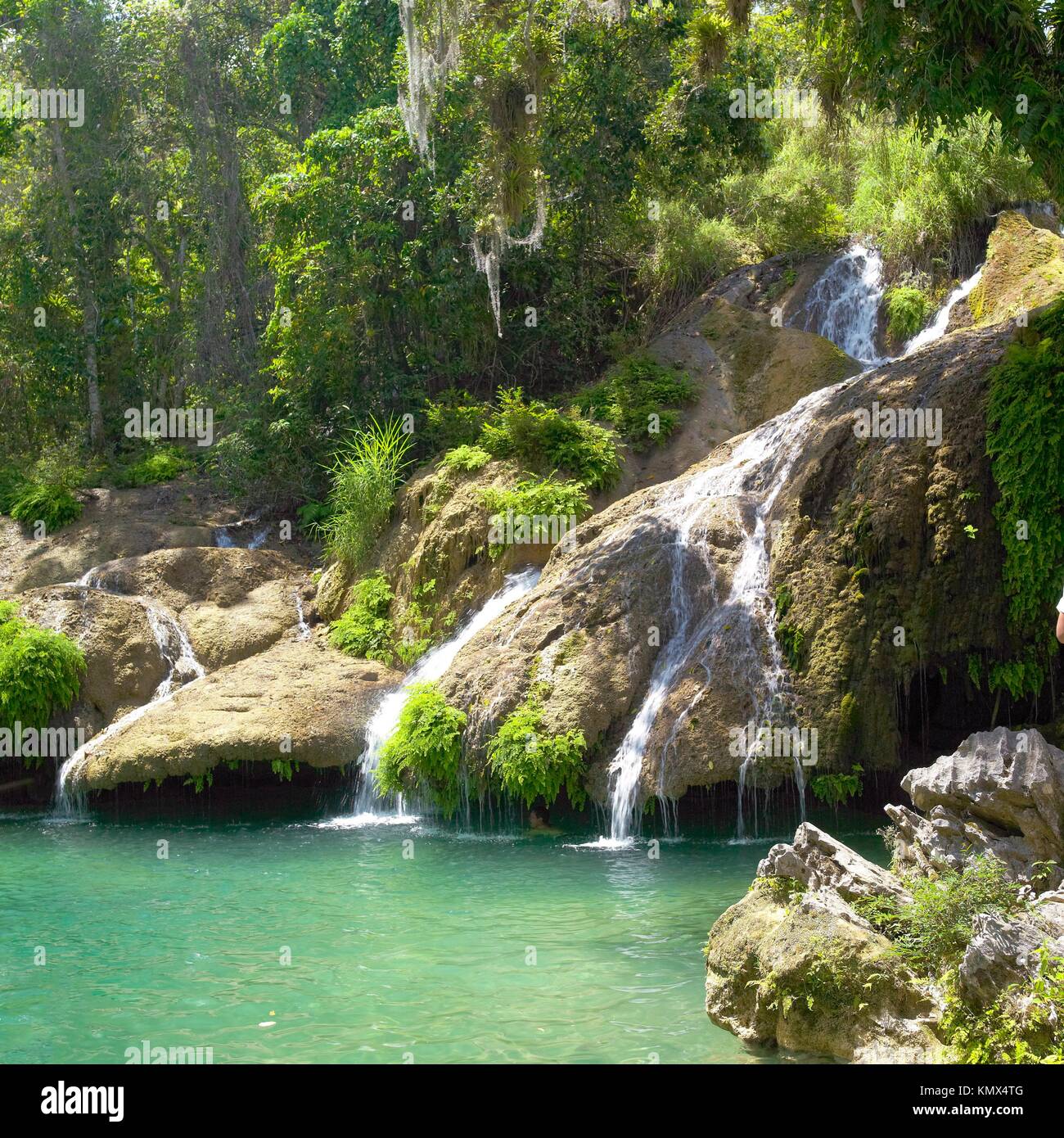 El Nicho waterfall, Cienfuegos Province, Cuba Stock Photo - Alamy El Nicho waterfall, Cienfuegos Province, Cuba Stock Photo - Alamy