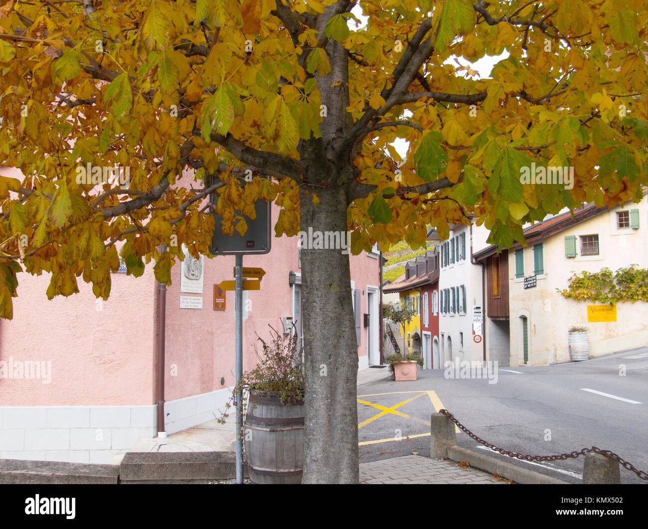 Switzerland Epesses Village High Resolution Stock Photography and ...
