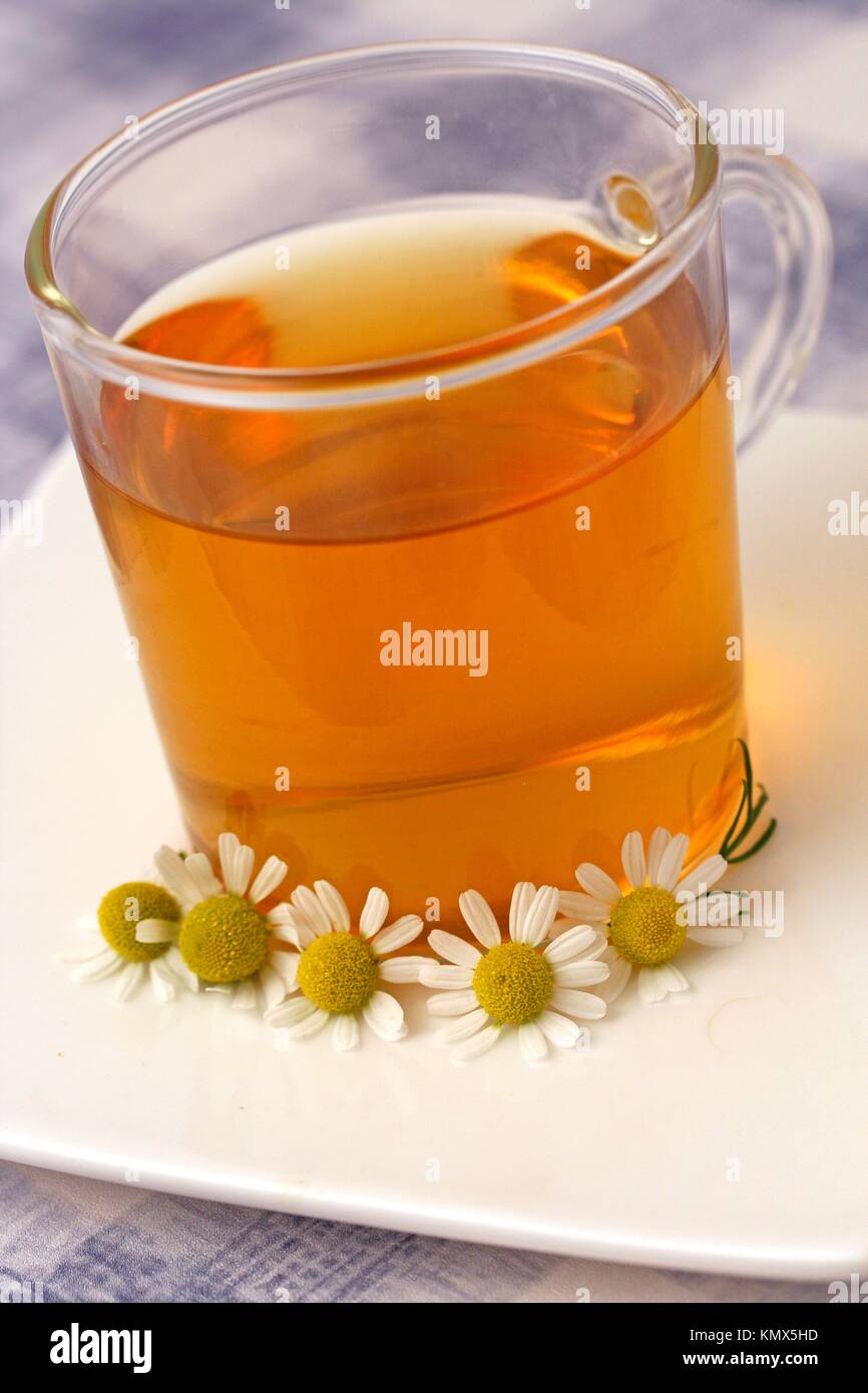 Chamomilla hi-res stock photography and images - Alamy