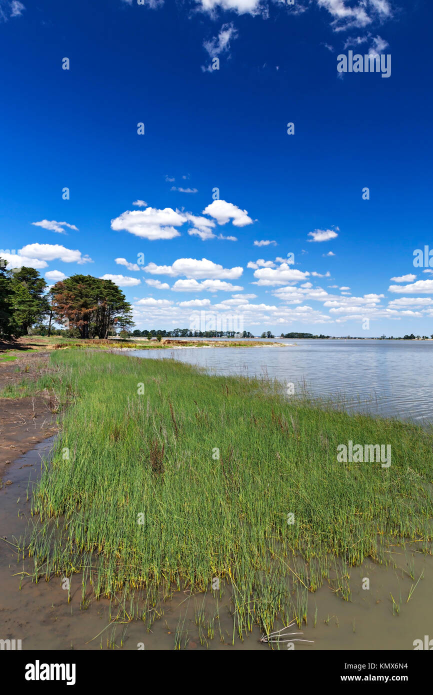 The picturesque Lake Learmonth is home for many bird species,the ...