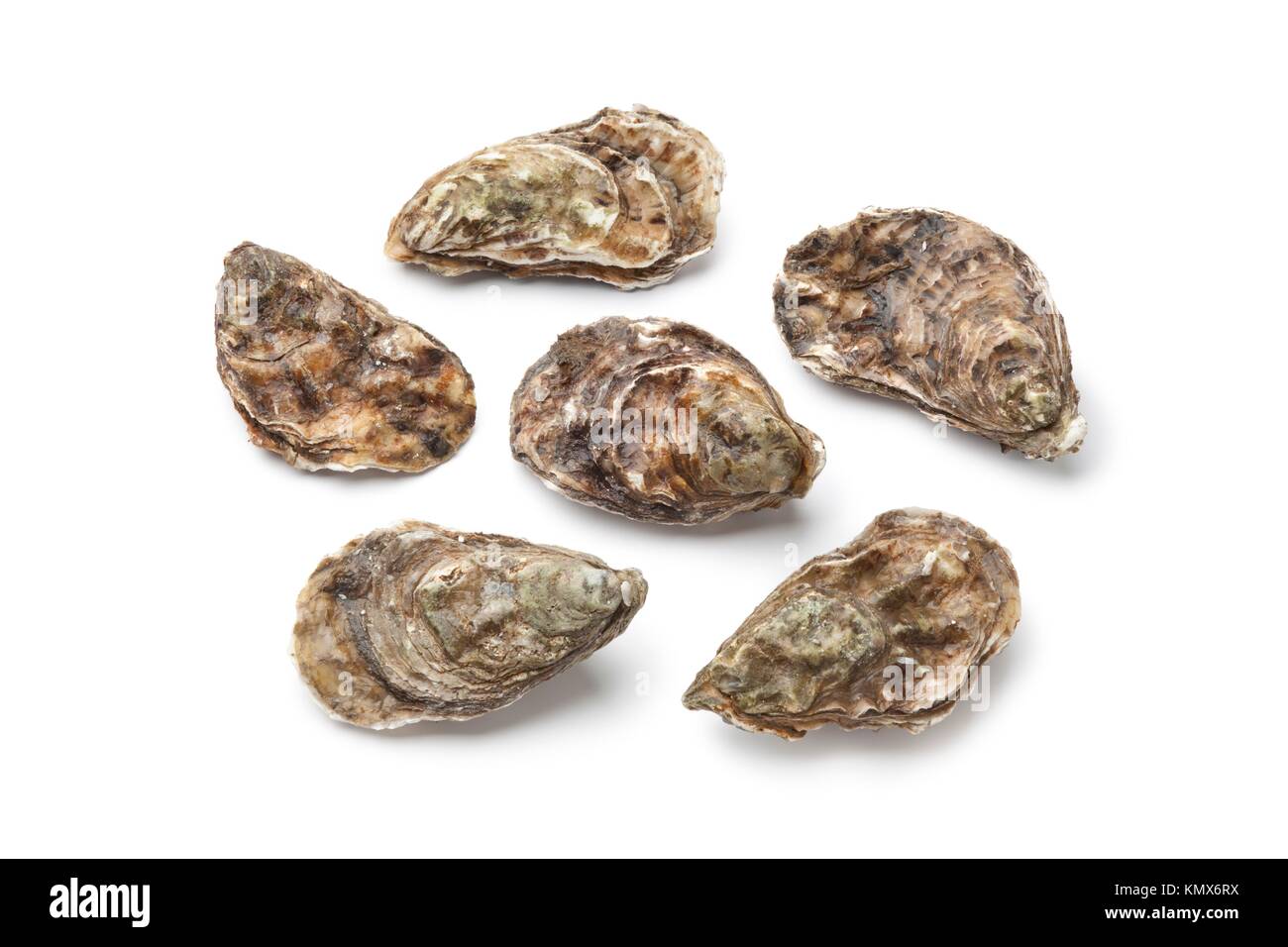 Whole Oysters High Resolution Stock Photography and Images - Alamy