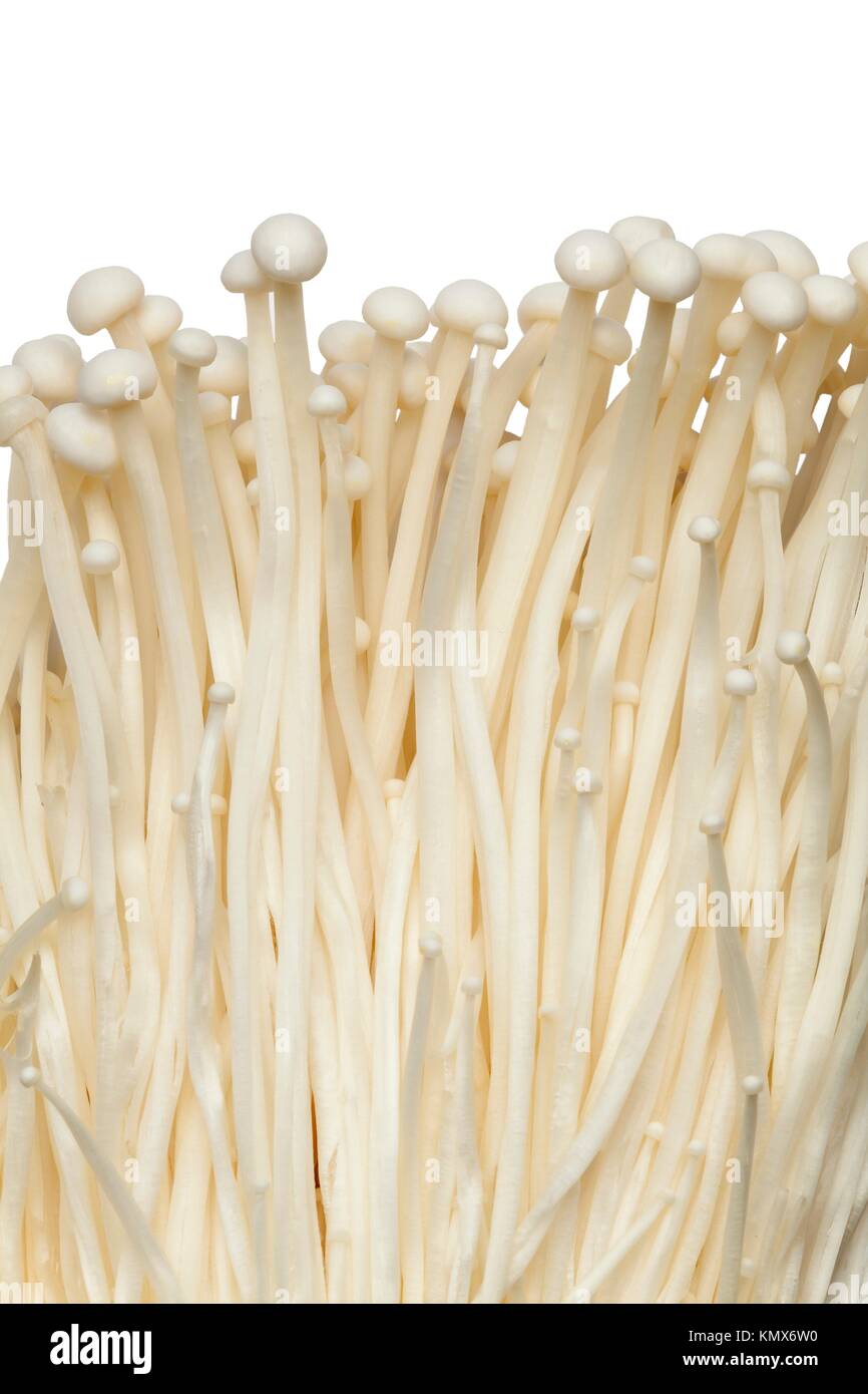 White Enoki Mushrooms High Resolution Stock Photography and Images - Alamy