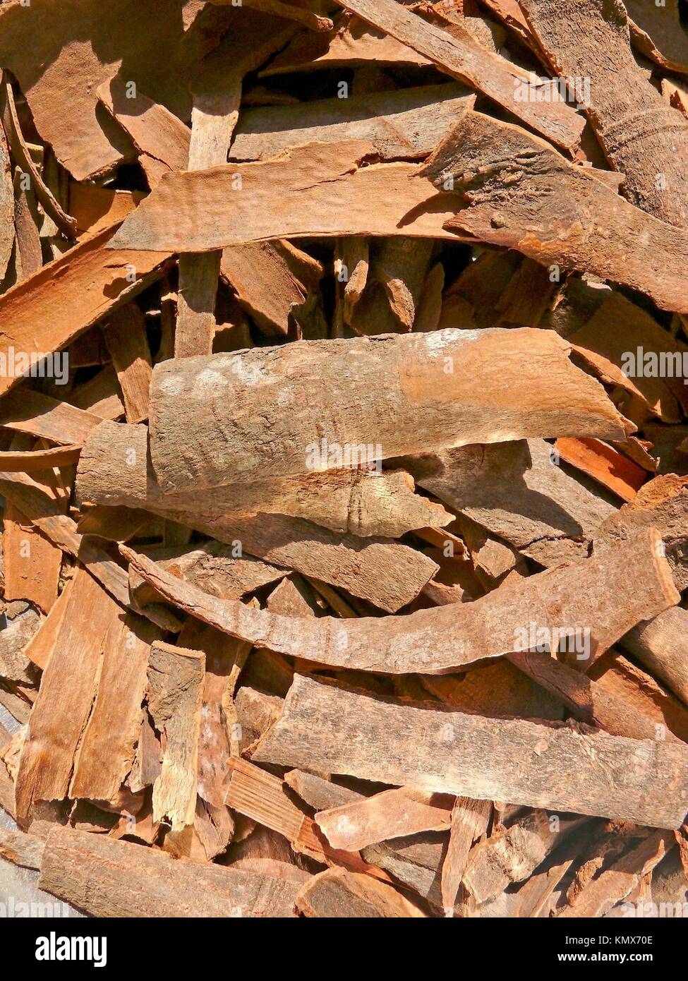 Cassia bark hi-res stock photography and images - Alamy
