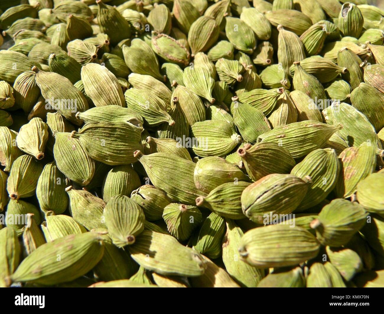 Green elaichi hi-res stock photography and images - Alamy