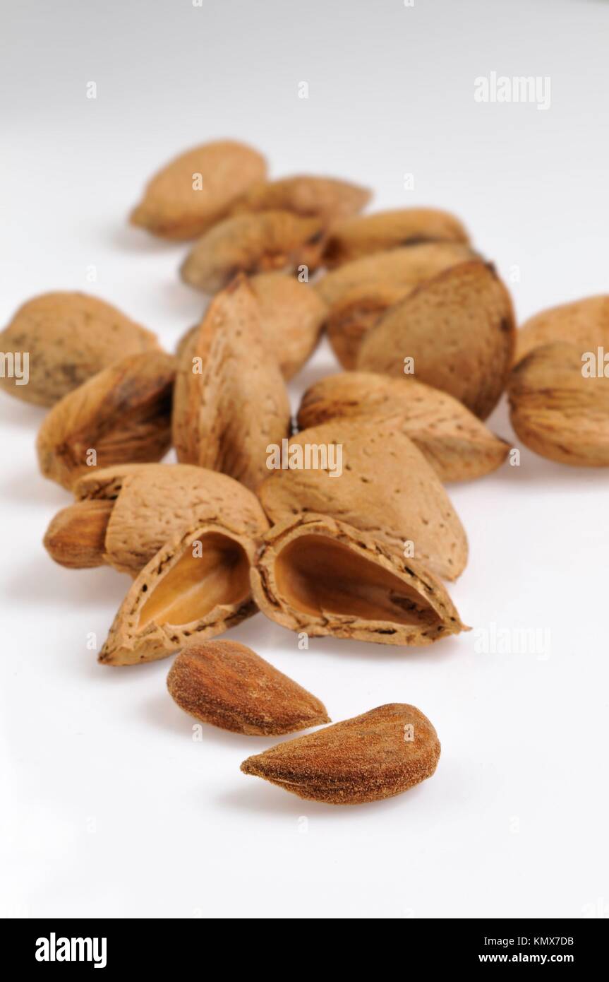 Whole agriculture hi-res stock photography and images - Alamy