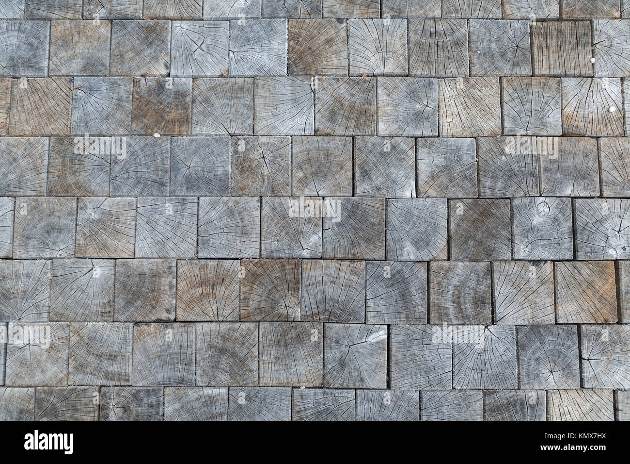 inlaid wooden tiles as the background, conceptual in nature Stock Photo ...