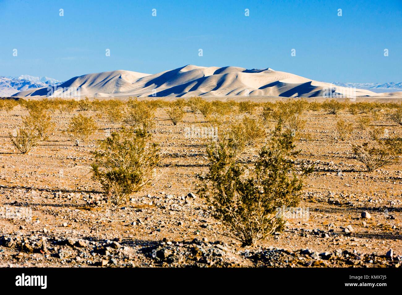 Dumont Sand Dune Stock Photos & Dumont Sand Dune Stock Images - Alamy