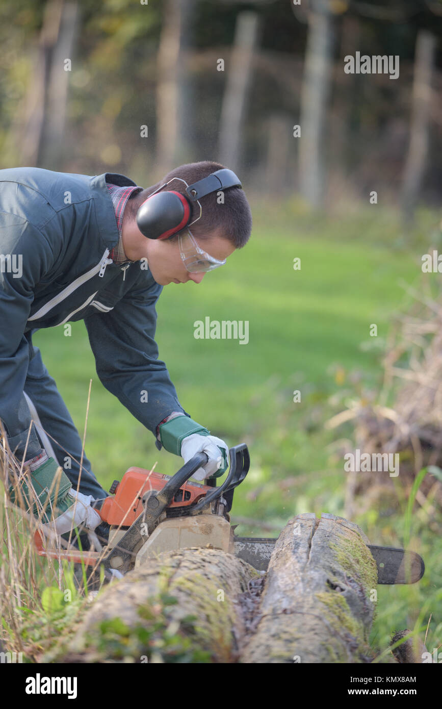 Man chainsawing tree hi-res stock photography and images - Alamy