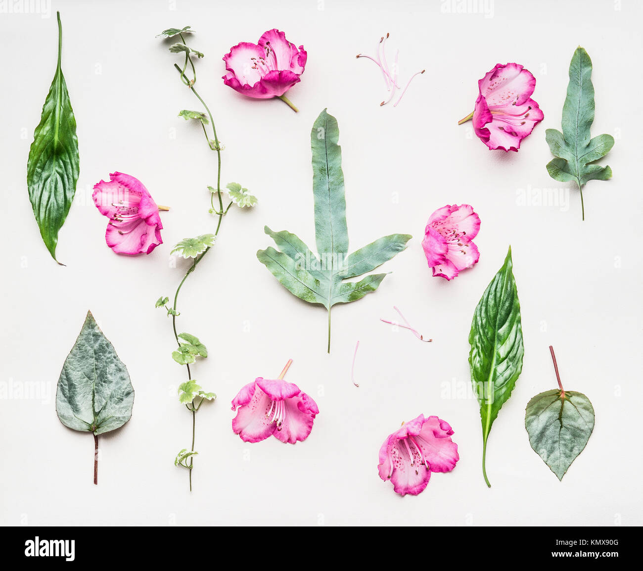 Floral flat lay with pink flowers and various green leaves . Flowers ...