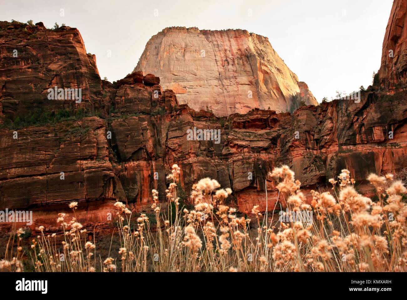 Straw formation hi-res stock photography and images - Alamy