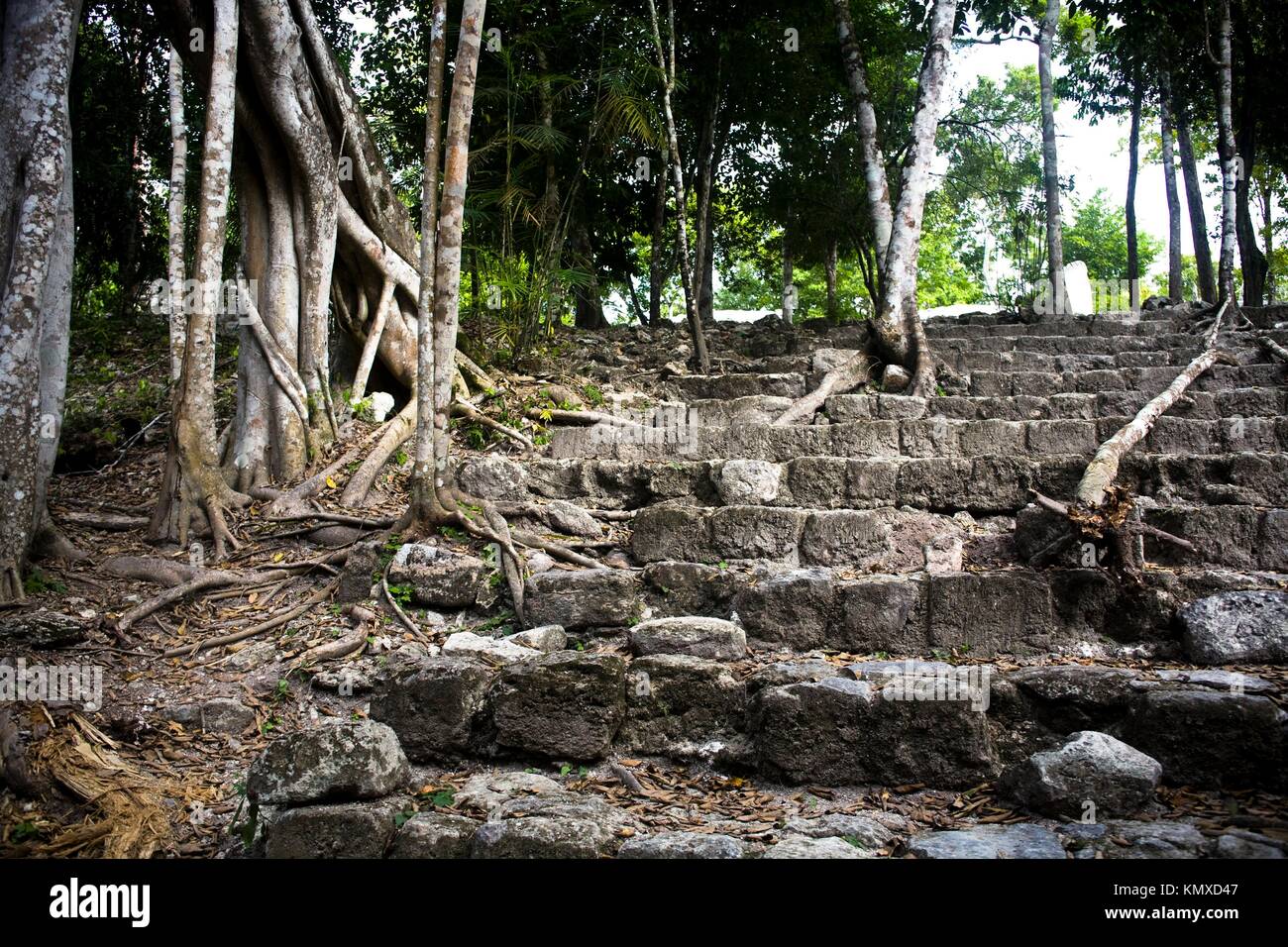 Mexico calakmul building hi-res stock photography and images - Alamy