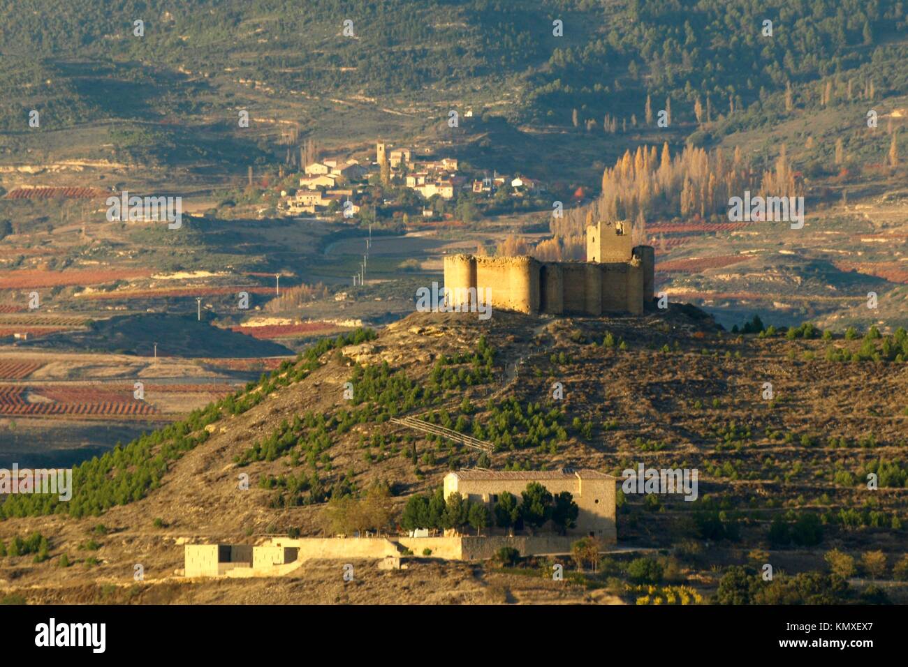 Davalillo hi-res stock photography and images - Alamy