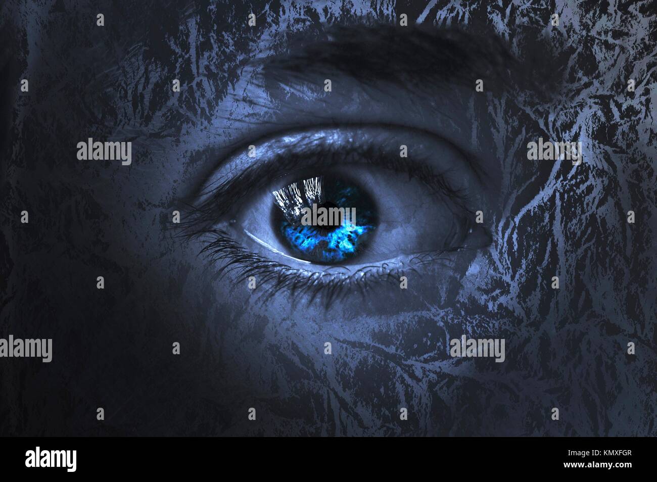 Tree and eye hi-res stock photography and images - Alamy