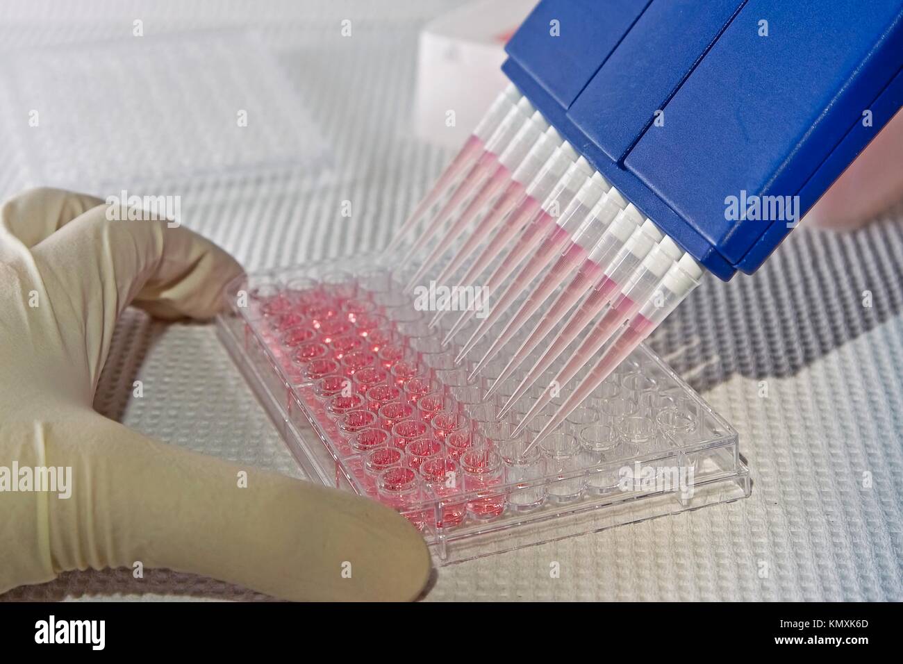 Multi channel hi-res stock photography and images - Alamy