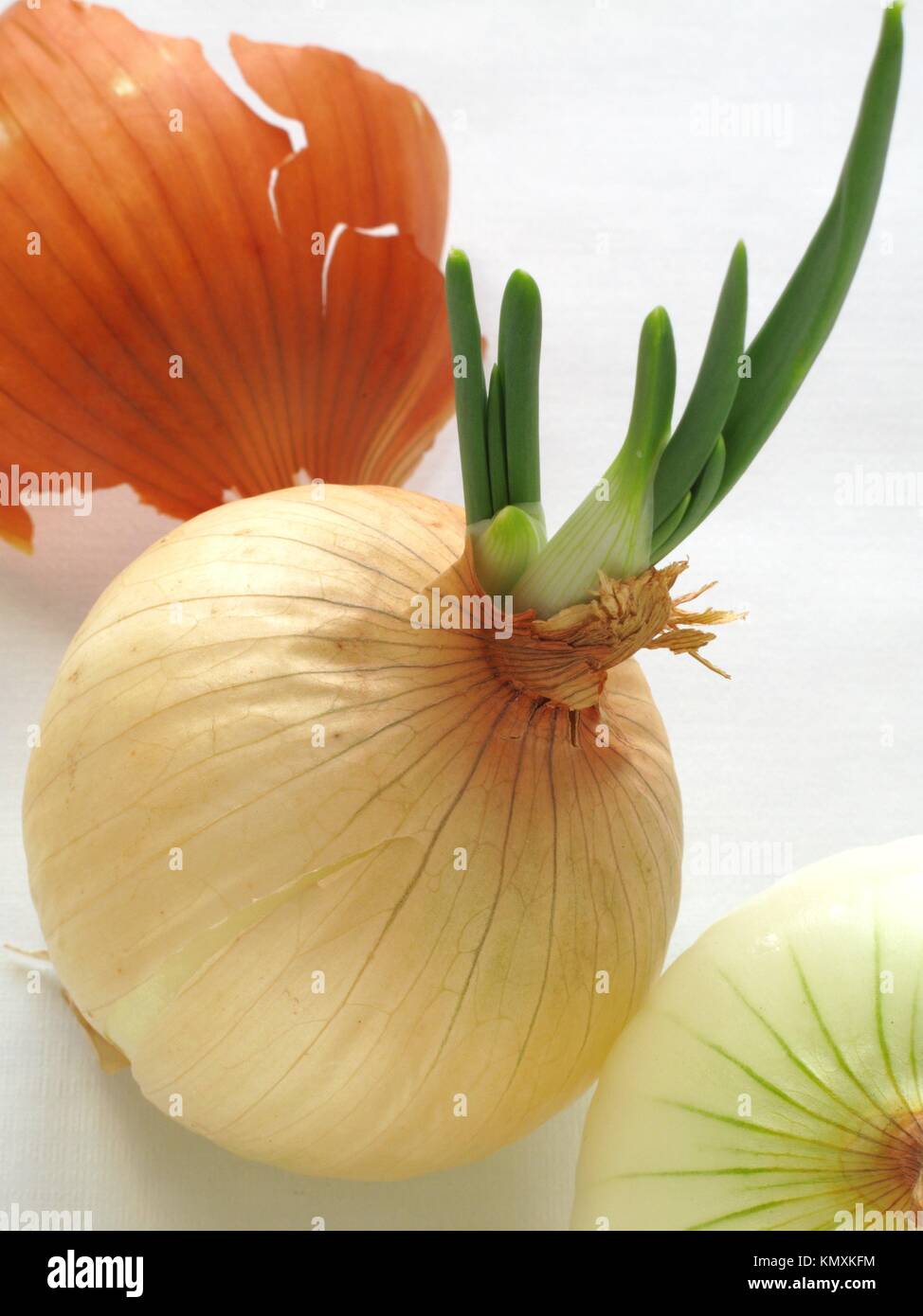 Silver skin onion hi-res stock photography and images - Alamy
