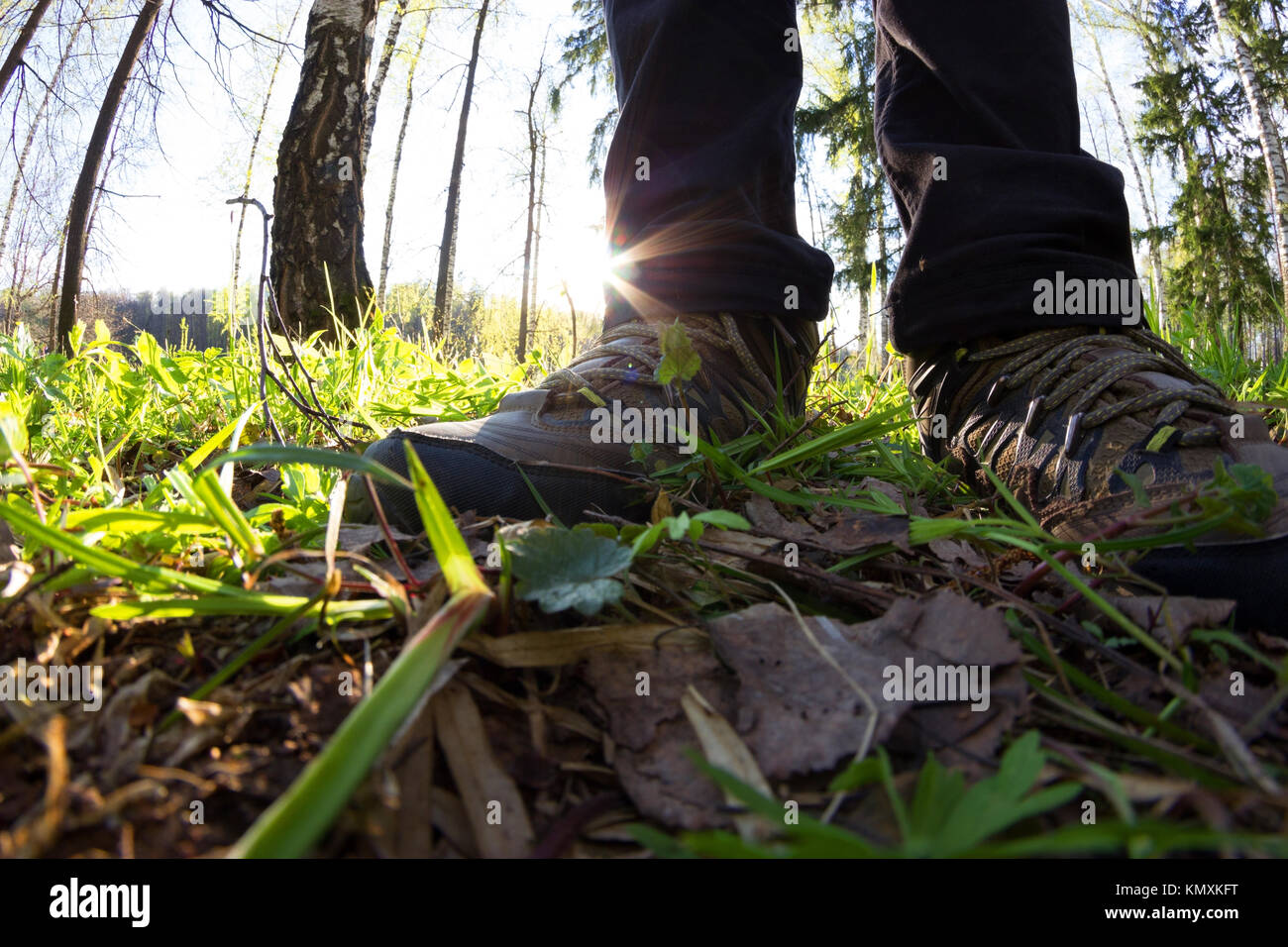 Man in snickers forest hi-res stock photography and images - Alamy