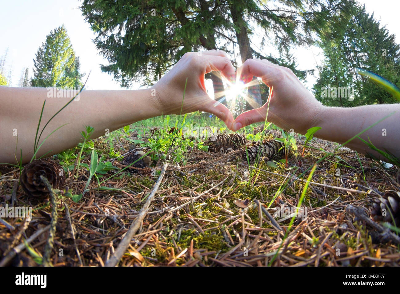 hands in a hearth shape. on forest background Stock Photo - Alamy