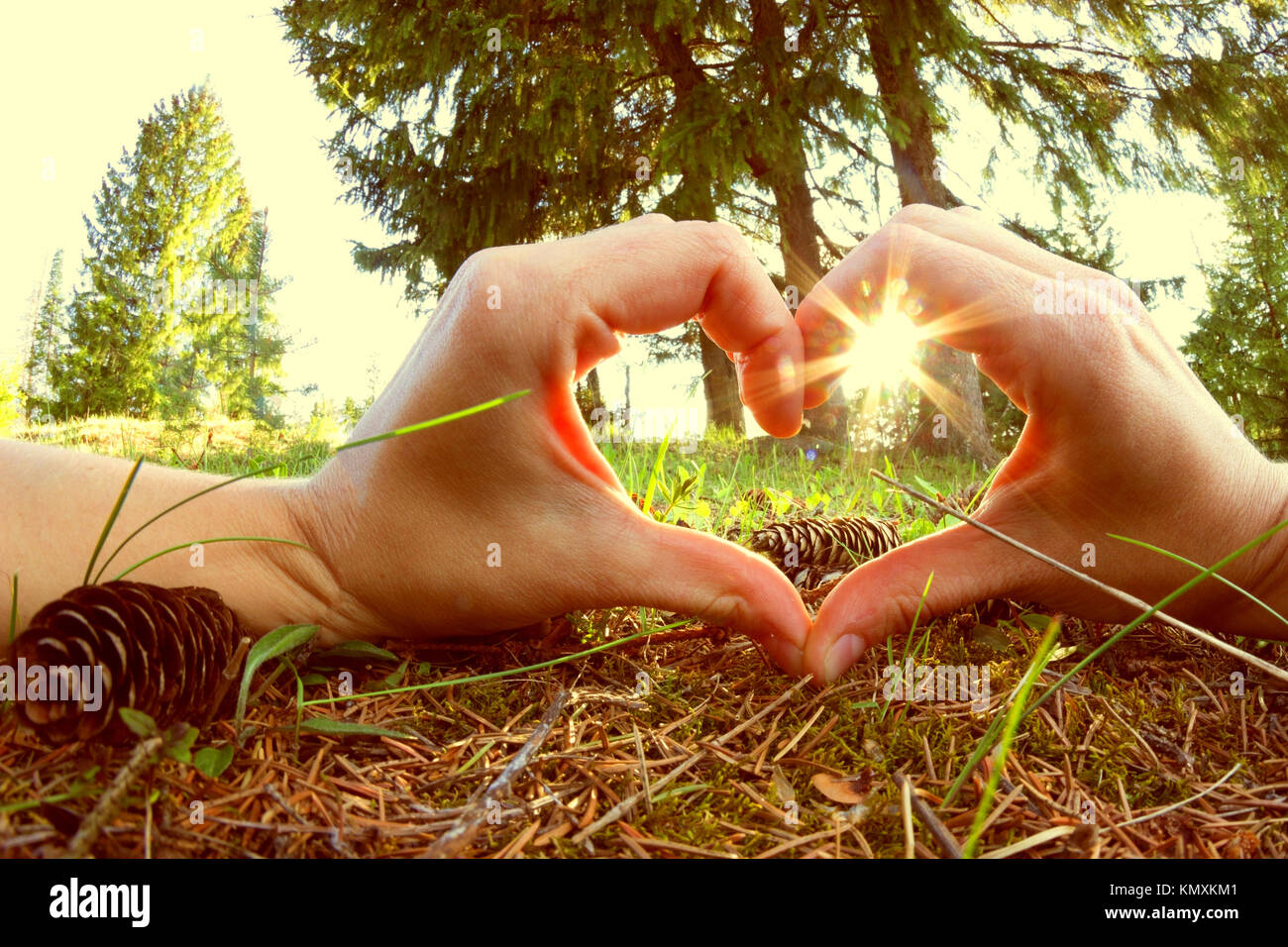 hands in a hearth shape. on forest background Stock Photo - Alamy