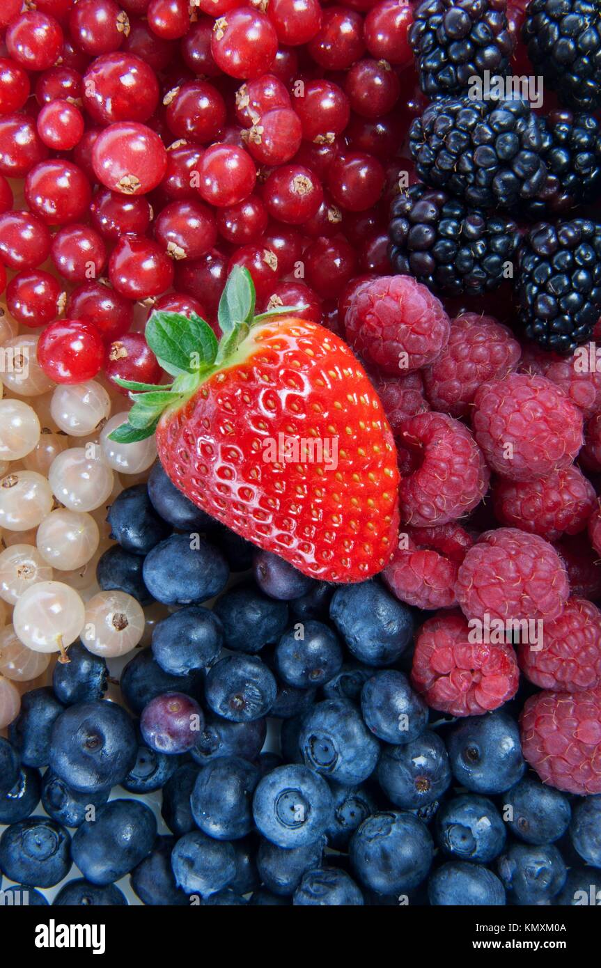 High fat berries hi-res stock photography and images - Alamy