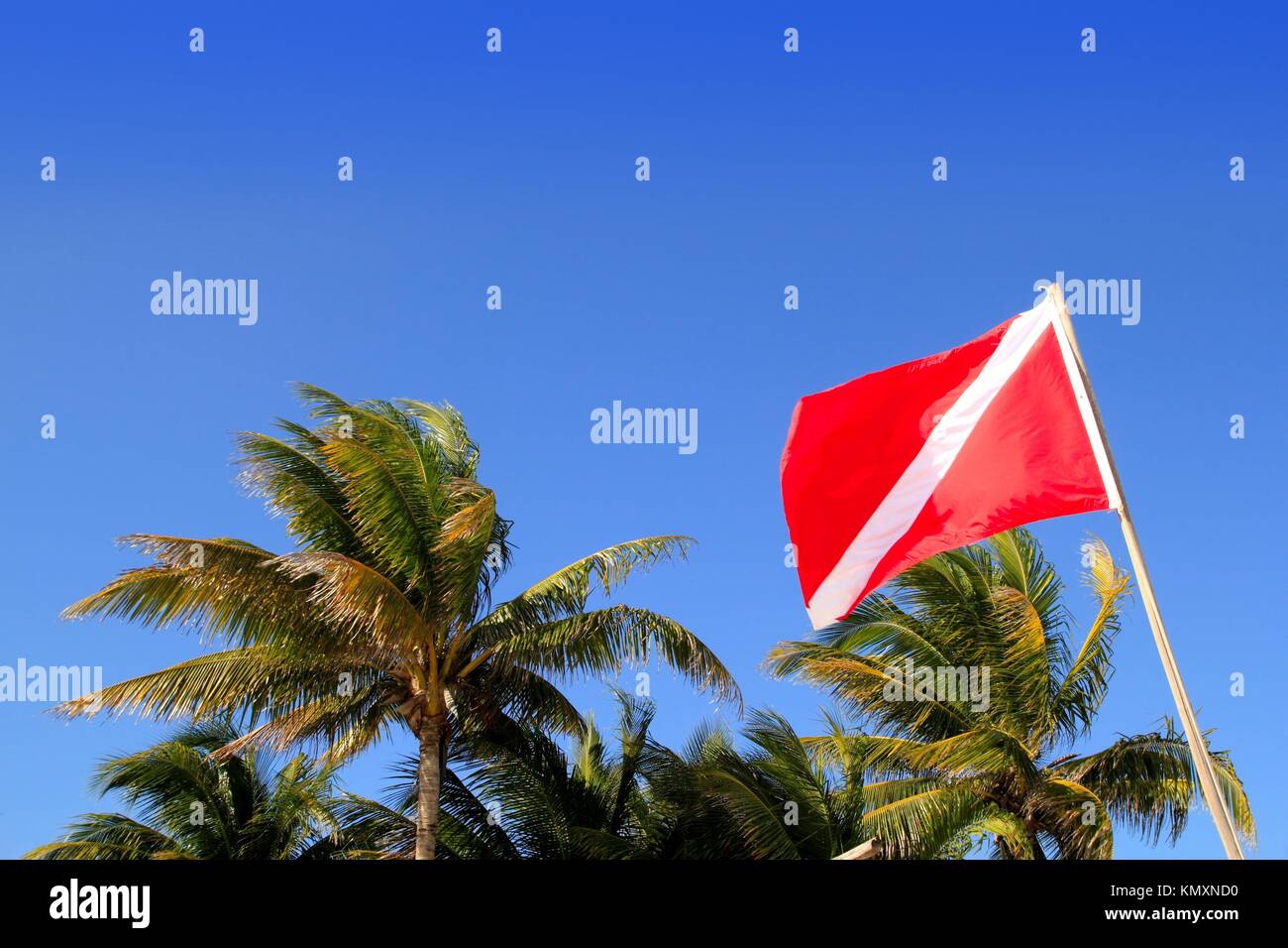 Two Types Of Diver Down Flags