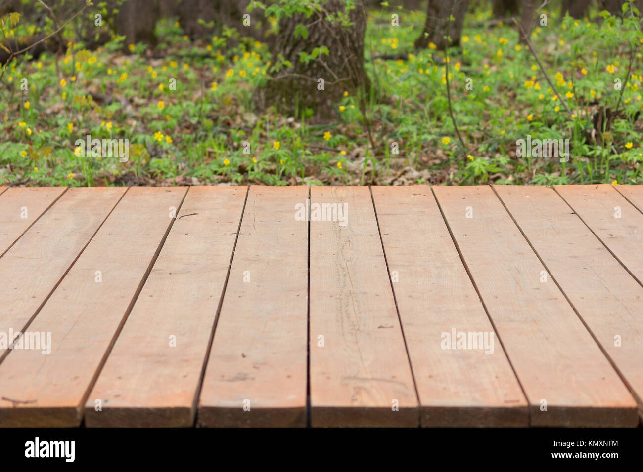 wooden pavement in a park. background for collages Stock Photo - Alamy
