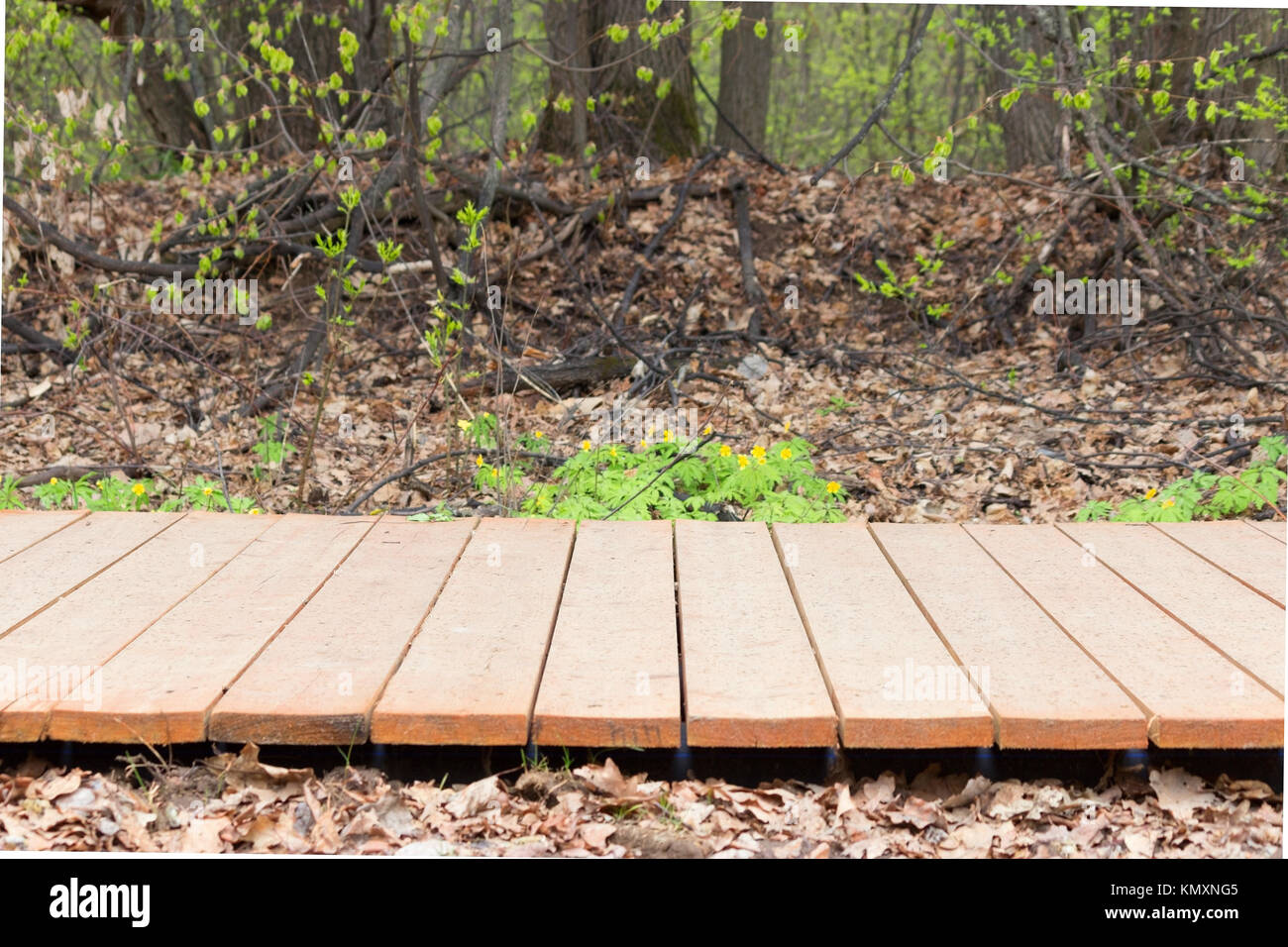 wooden pavement in a park. background for collages Stock Photo - Alamy