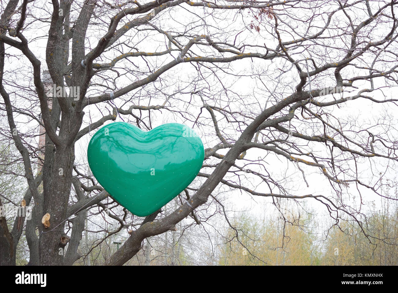 green heart on a tree. ecology concept Stock Photo - Alamy