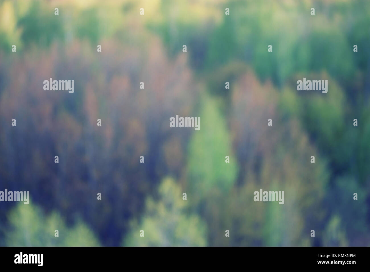 unfocused green forest background in spring. light pale green color ...