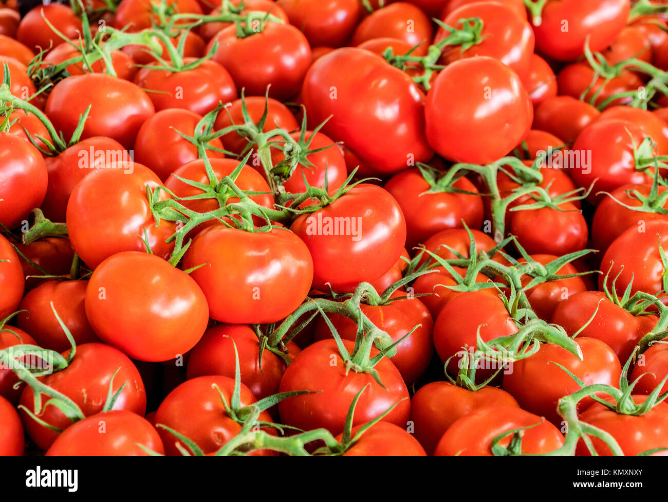 Lots of tomatoes. Top view Stock Photo - Alamy