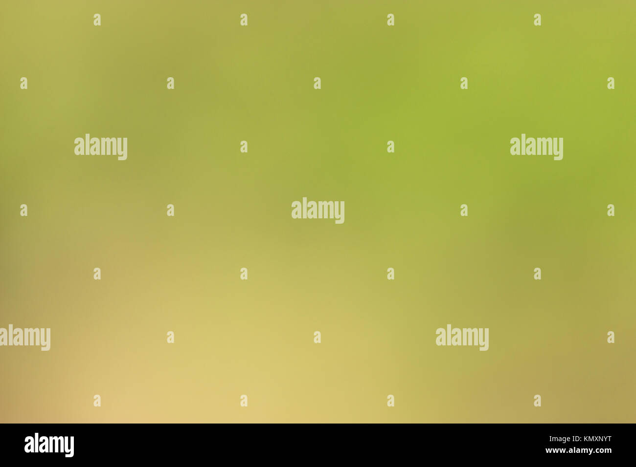 unfocused green forest background in spring. light pale green color ...