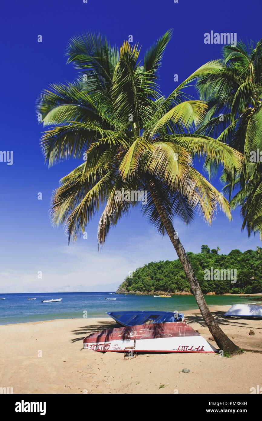 Castara bay tobago hi-res stock photography and images - Alamy