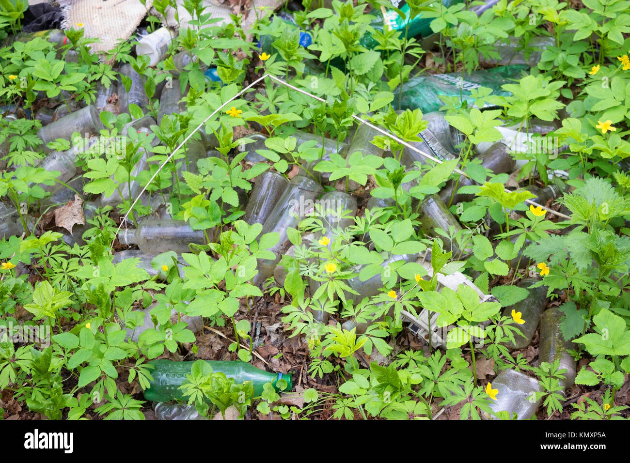 nature pollution concept. rubbish in green grass Stock Photo - Alamy